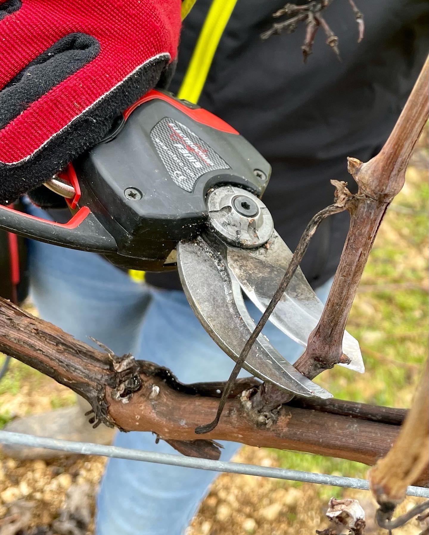 les savoir-faire du cognac engagés vers l'UNESCO - Living In Cognac Land