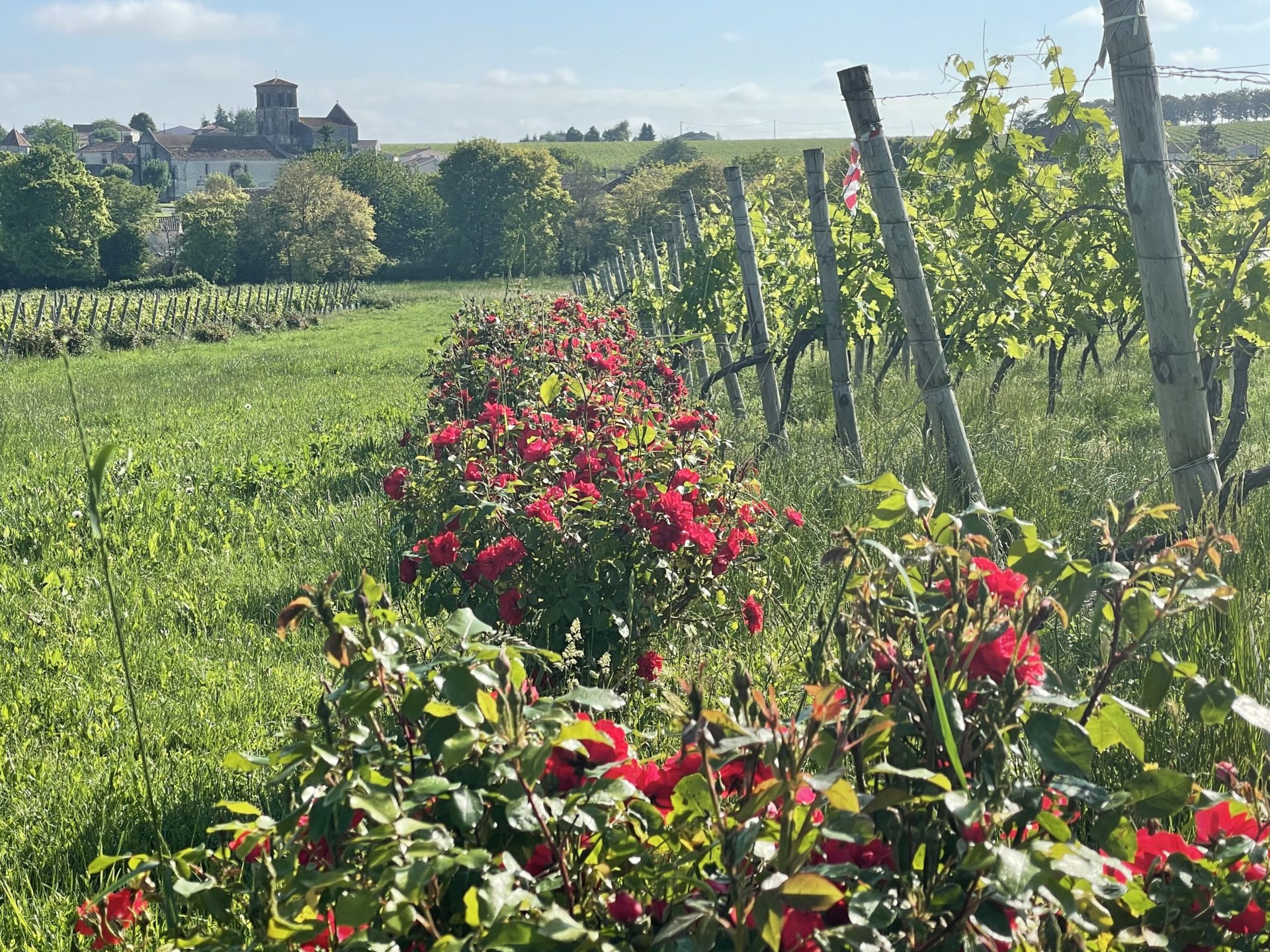 les savoir-faire du cognac engagés vers l'UNESCO - Living In Cognac Land