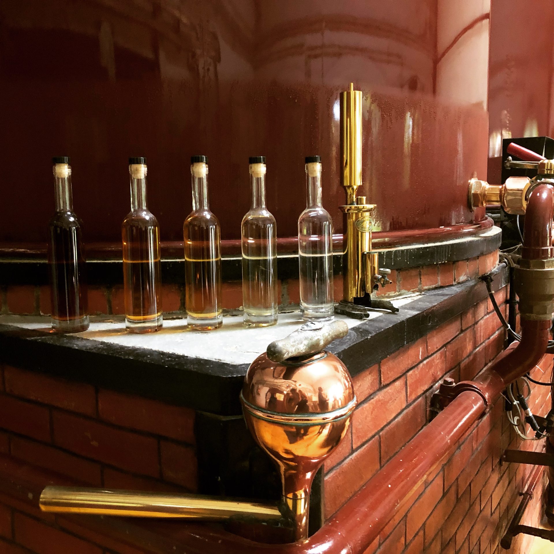 Dans la tête des distillateurs de cognac - Living In Cognac Land